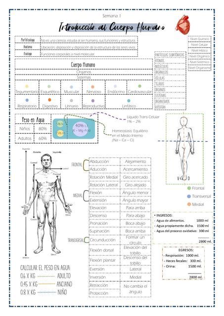 Introducción al Cuerpo Humano Maria Jose 010629 uDocz