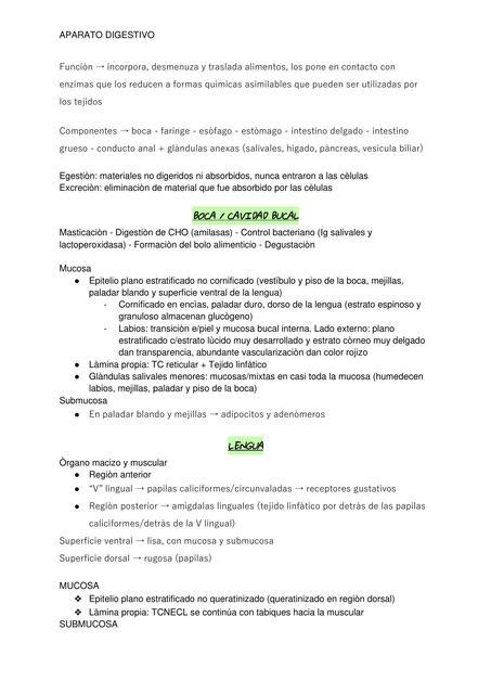 Aparato Digestivo Y Gl Ndulas Anexas Mica Udocz