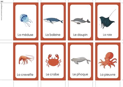 Les Animaux Aquatiques Lsf