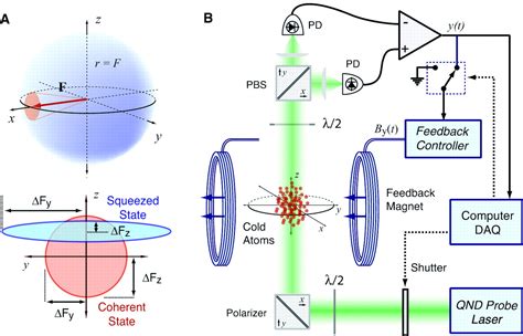 real time quantum feedback control of atomic spin squeezing science