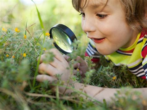 Comment Sensibiliser L Cologie Activit S Ludiques Et Ducatives