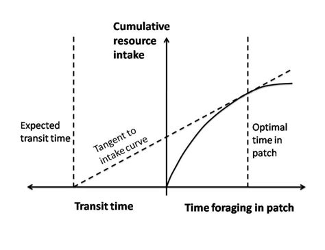 12 1 optimal foraging theory introduction to evolution and human behavior