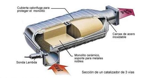 El Catalizador Y Sus Funciones