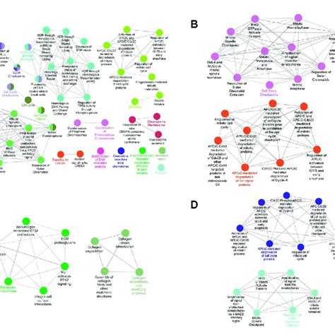 pathway enrichment analysis of clustered genes interconnected and download scientific diagram