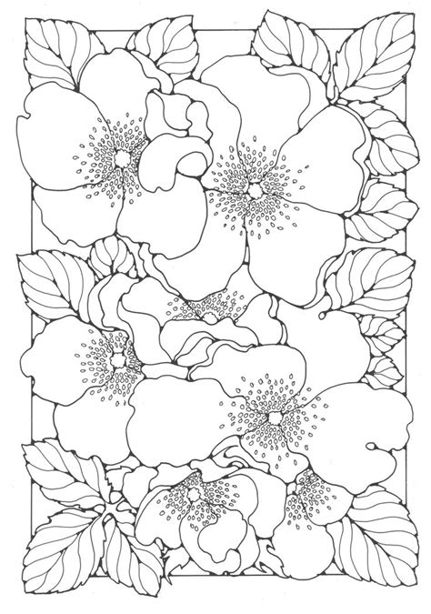 Pin By Fischer Liubov On Ausmalbilder In 2024 Wildflower Drawing