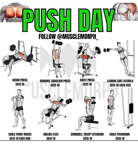 Push Day Exercise For Weight Gain In Push Workout Push Day