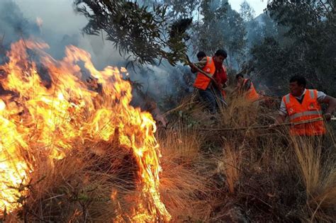 DESDE EL FUEGO Los incendios forestales en San Martín CampUCSS