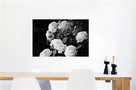 Bloemen Zwart Wit Natuur Planten Rozen Bol