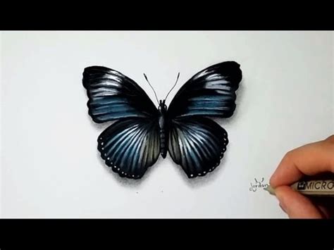 Comment Dessiner Un Papillon Tutoriel 2 YouTube