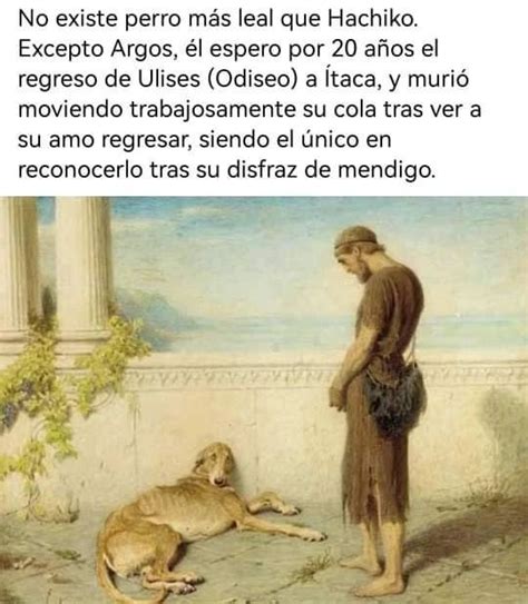 No existe perro más leal que Hachiko Excepto Argos él espero por 20