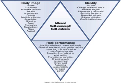 Self Concept Flashcards Quizlet