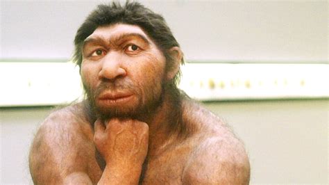 El Enigma De Los Neandertales Y Su Extinción