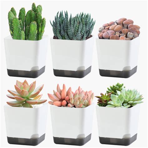 Amazon Oliz Succulent Pots Inch Plastic Mini White Flower