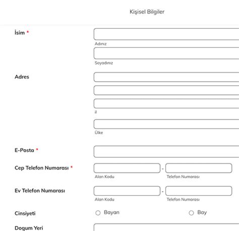 İş Başvuru Formu CV İnsan Kaynakları Form Şablonu Jotform