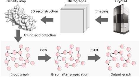figure 1 from sequence guided protein structure determination using graph convolutional and