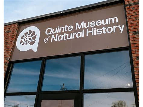 Quinte Museum Of Natural History Reopens For 2024 Summer Season