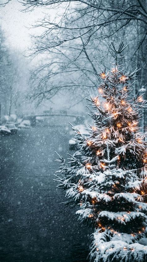 Beautiful Winter Aesthetic You Ll Love Cozy Winter Aesthetic Hd