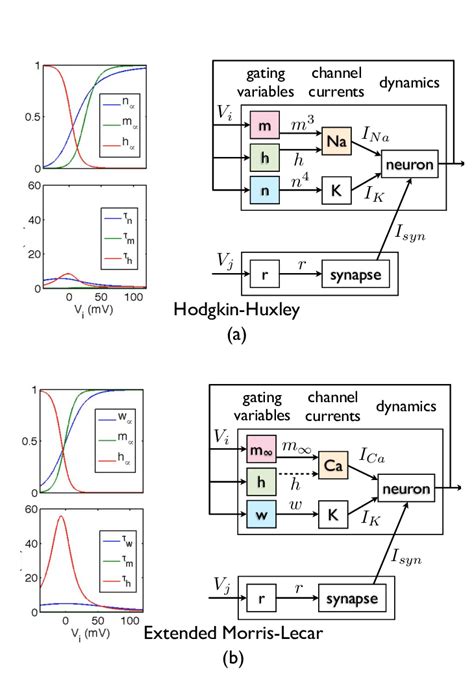 the neurodyn analog vlsi programmable neural emulation platform download scientific diagram