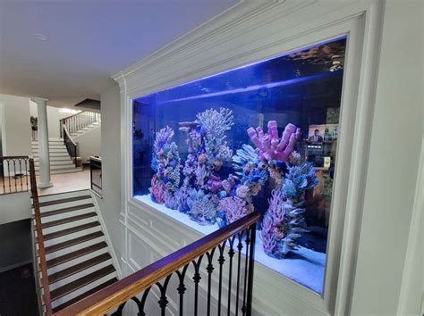 Massive Custom Home Aquarium 3000g Saltwater Large Fish Tank Build