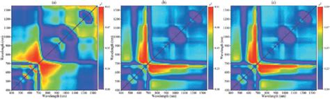 contour maps of the two dimensional correlation coefficients r 2 download scientific diagram