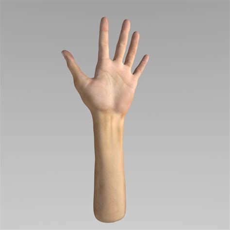 3D Hand Модель Реалистичная 3D Модель 25 fbx max unknown obj