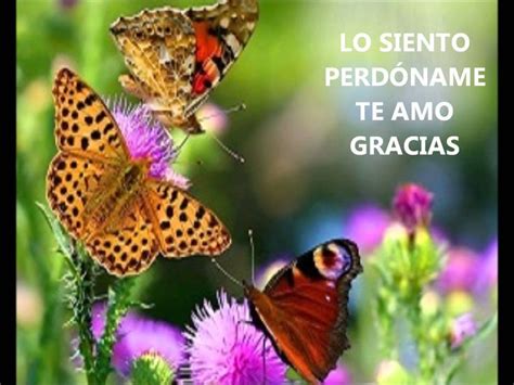 Ho Oponopono Para Atraer El Dinero La Fortuna Y La Abundancia A Tu