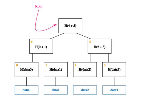 merkle trees a visual introduction iden3 project blog