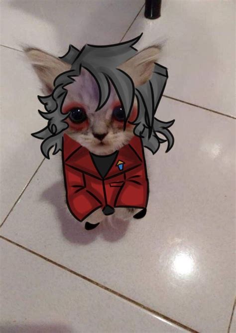 Maison Talo As A Cat Anime Drawing Styles Yandere Anime Poses