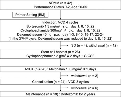 Full Article Bortezomib Cyclophosphamide Dexamethasone Induction