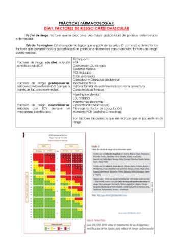 Resumen Practicas Pdf