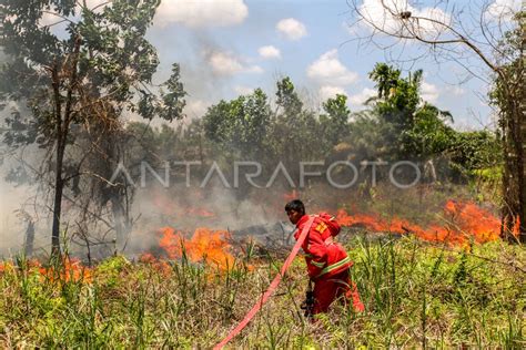 PEMADAMAN KEBAKARAN LAHAN GAMBUT ANTARA Foto