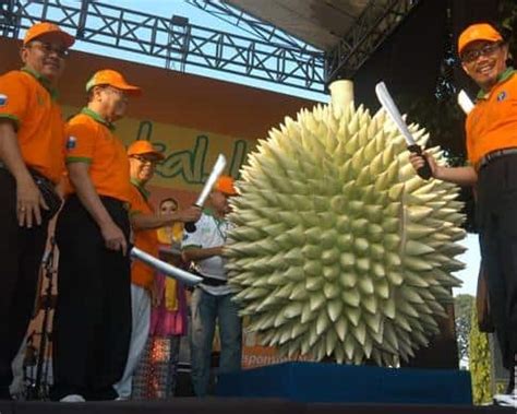 Yuk Kunjungi 10 Tempat Wisata Menarik Di Pekalongan Ini