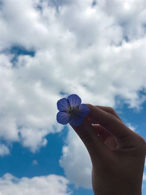Pin Di Nadeen Solyman Su Flowers Sfondi Per Telefono Ispirazione Per
