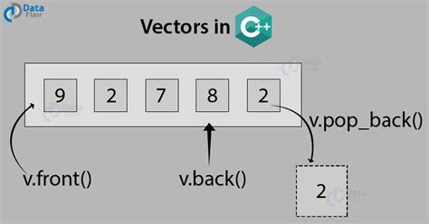 c vector learn 5 types of functions associated with vector dataflair