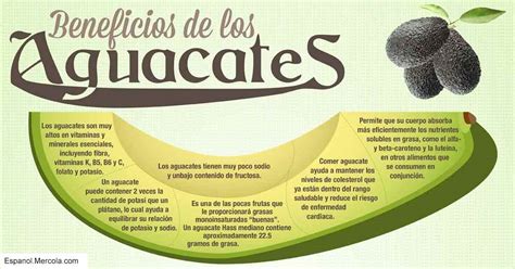 Beneficios Del Aguacate Infograf A