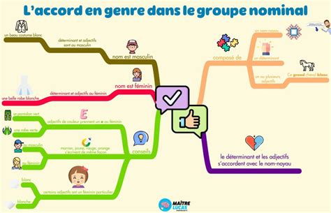 Carte mentale l accord en genre dans le groupe nominal CM1 CM2 Maître