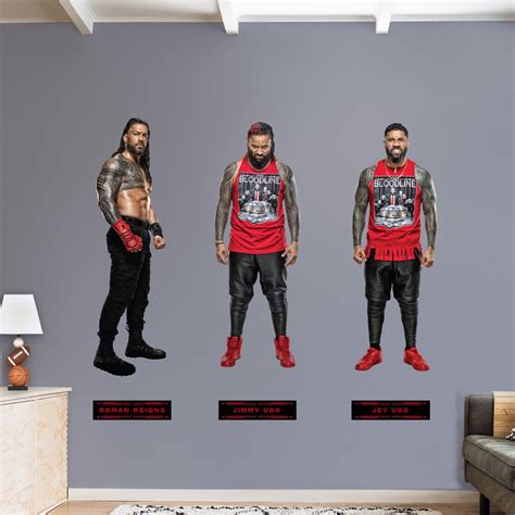 Features Thick High Grade Vinyl Resists Tears Rips And Fading Reusable Design Is Safe For