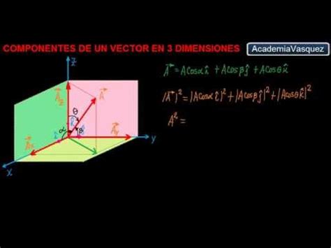 Componentes De Un Vector Tres Dimensiones En Coordenadas Cartesianas