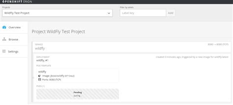 quick tip running wildfly docker image on openshift origin java code geeks
