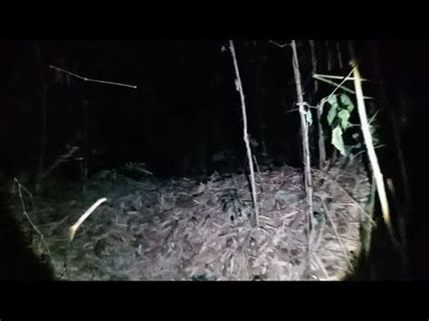 Lokasi Sarang Pocong Youtube