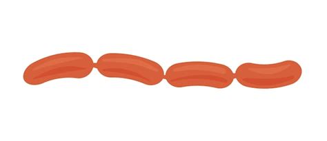 Premium Vector Sausages Of Beef Pork Cartoon Style Realistic Vector