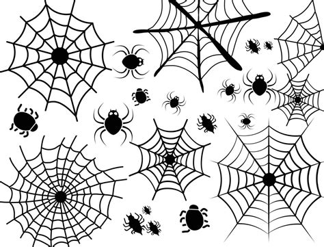 Creative Spider Web And Spider Clip Art Vector Unique Set Hand Drew