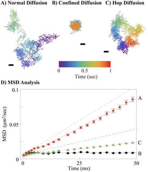 single qd trajectories showing the diffusion of a lipid download scientific diagram