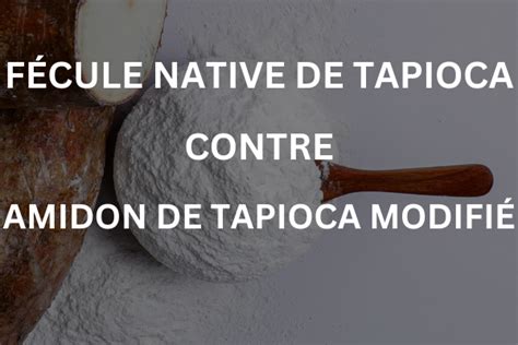 La différence entre lamidon de tapioca natif et lamidon de tapioca