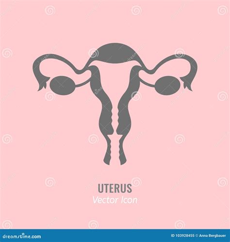 Uterus Vector Icon Stock Vector Illustration Of Element