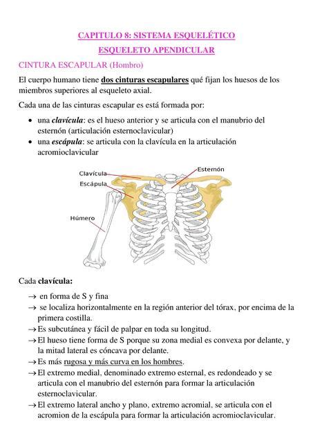 Resumen capítulo 8 Principios de Anatomía y Fisiología Tortora GJ