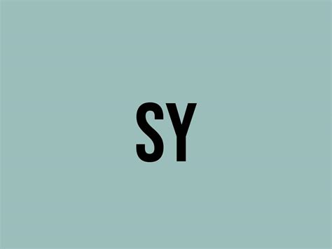 What Does Sy Mean Meaning Uses And More FluentSlang