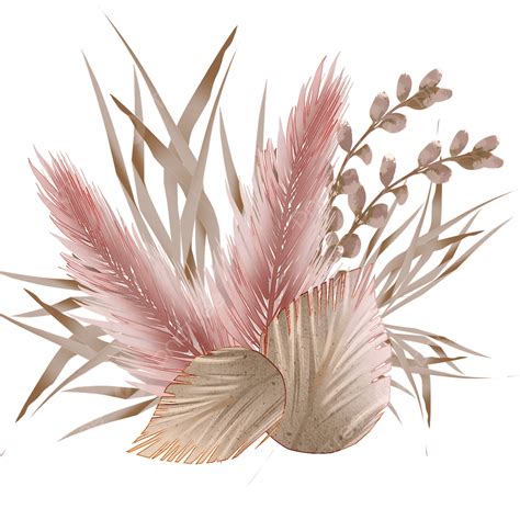 Pampas Grass Branches And Stems Watercolor Decoration Watercolor
