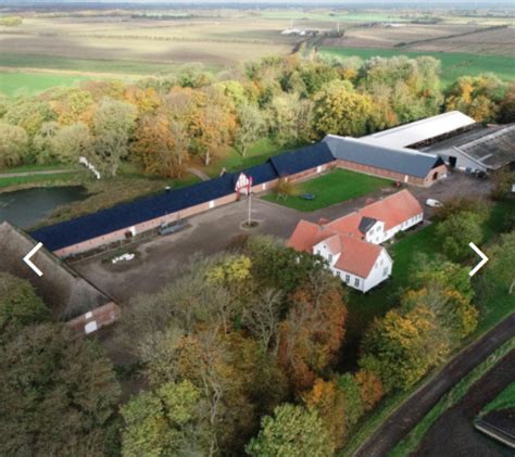 Åbent Landbrug på Trøjborg Hovedgård Visbynet dk