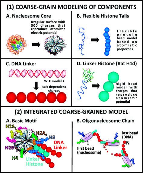 fig s1 summary of the mesoscale modeling 1 brief description of download scientific